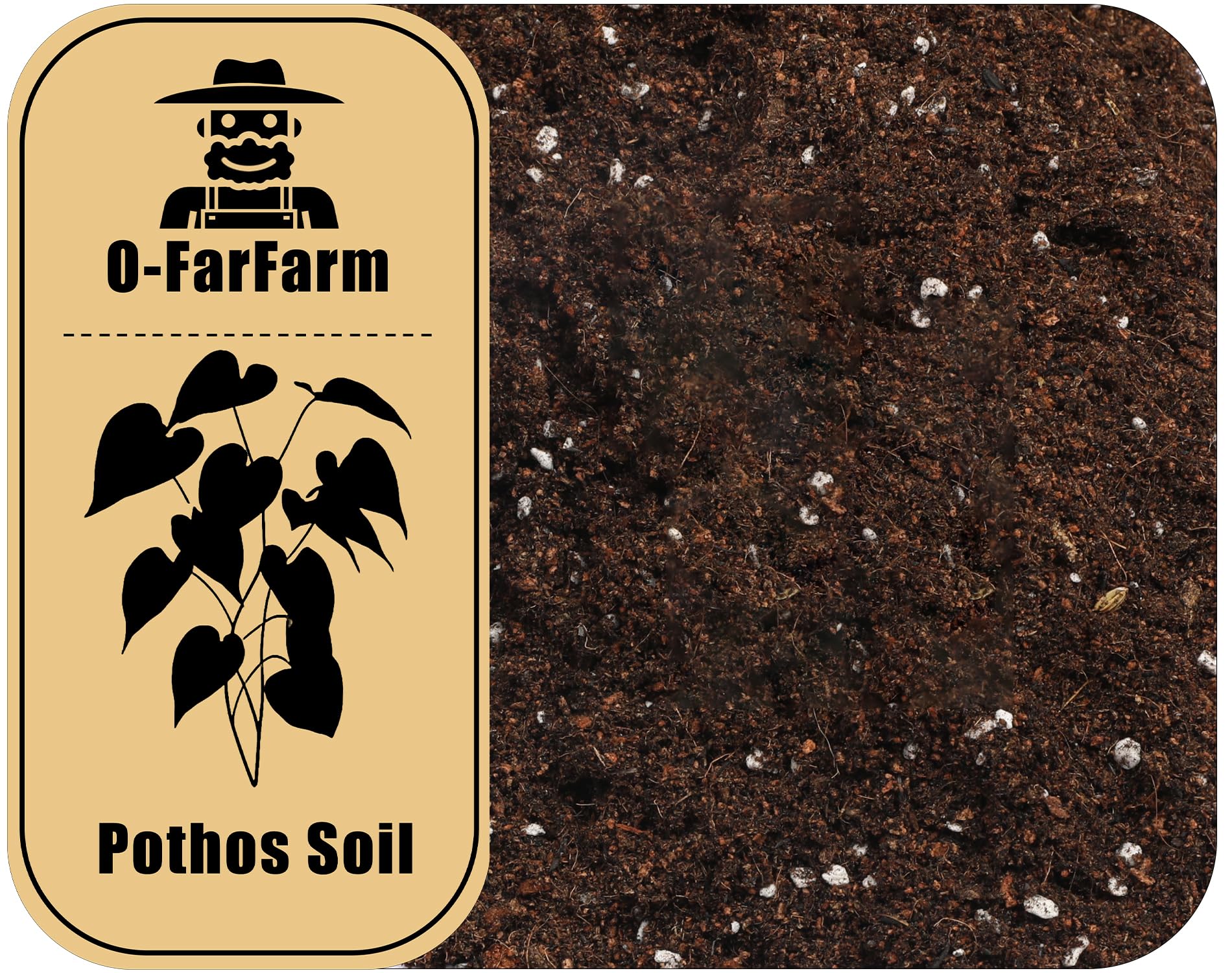 Amazon.com : O-FarFarm Organic Potting Soil Mix for Pothos Plant and ...