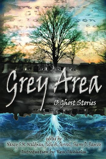 Amazon.com: Grey Area: 13 Ghost Stories eBook : Waldman, Nancy, Nicholoson, Katrina, Musial ...