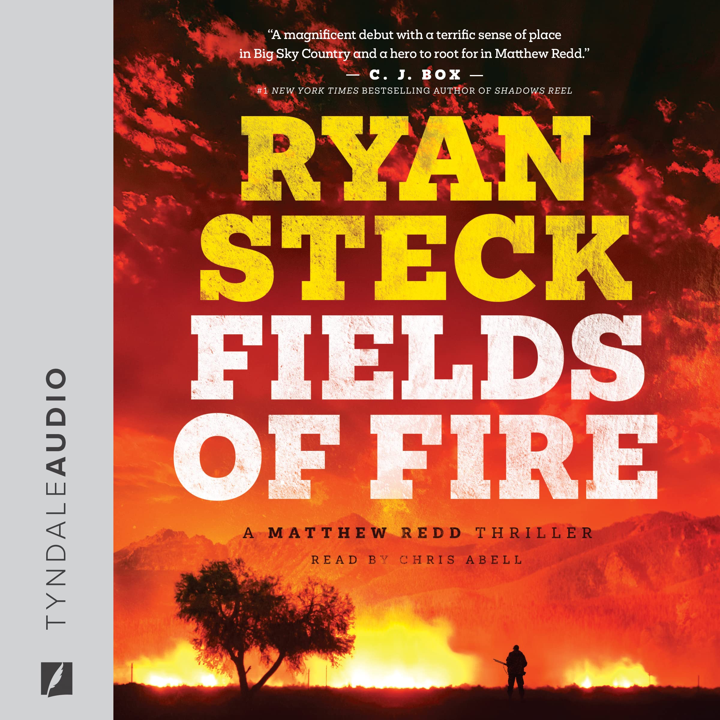 Amazon.com: Fields of Fire (Volume 1) (A Matthew Redd Thriller ...