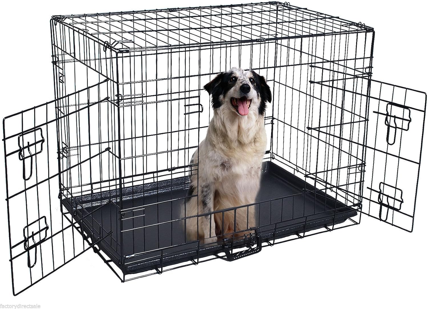 Amazon.com : Kennel Cat Dog Folding Metal Crate (Large: (LxWxH) 36x24 ...