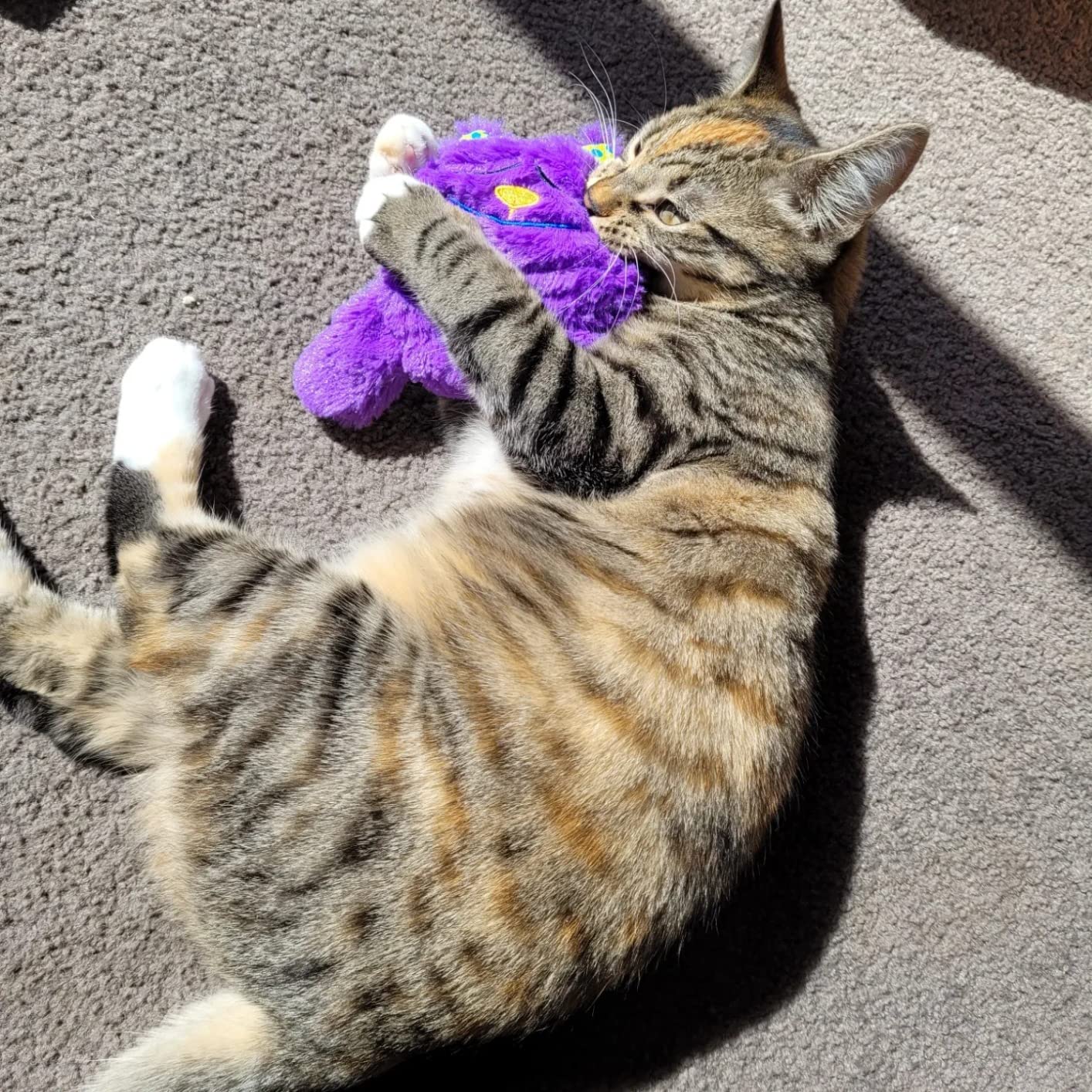 Petstages Purr Pillow Kitty Soothing Plush Cat Toy : Amazon.com.au: Pet ...