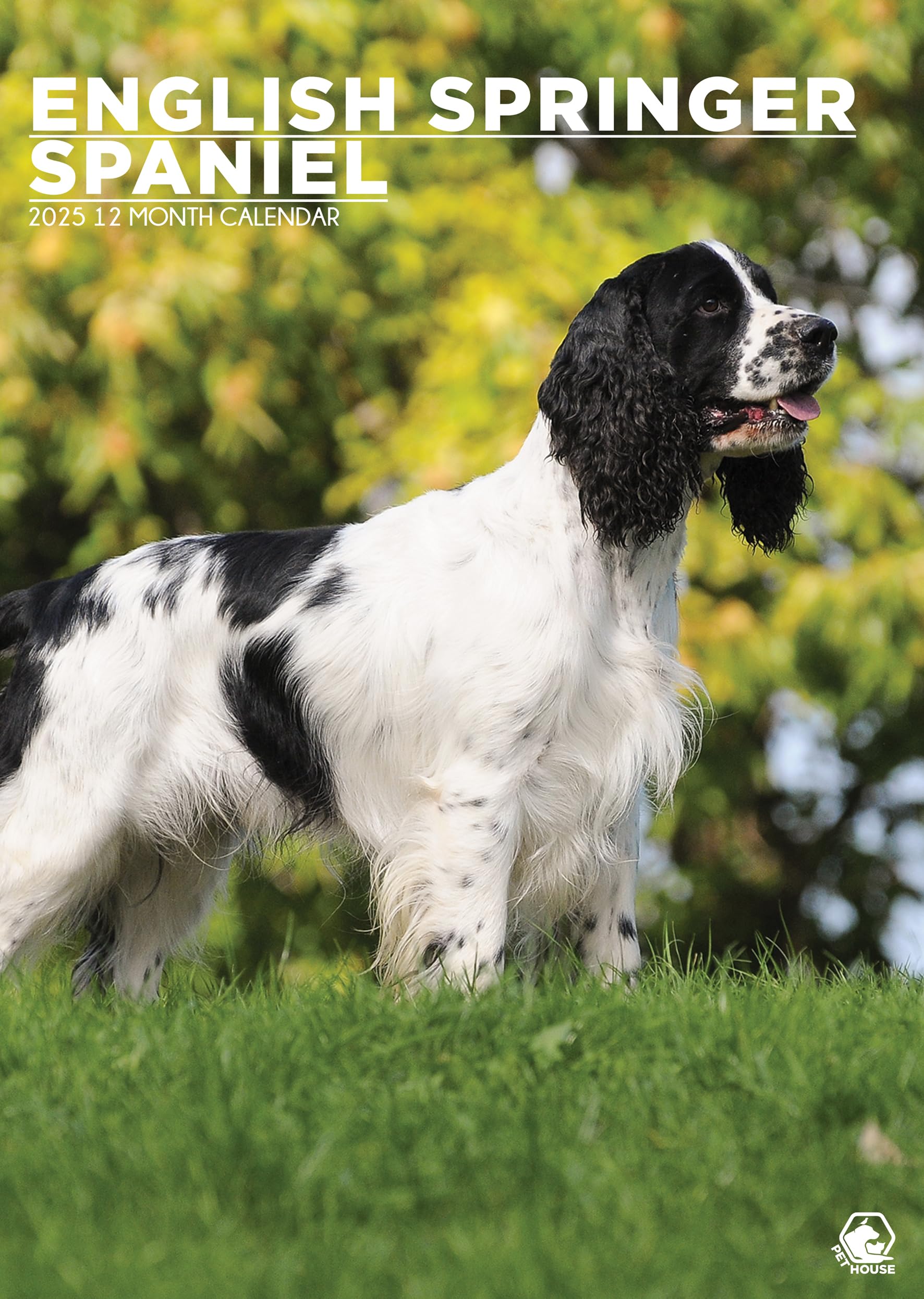 English Springer Spaniel 2025 – A3 Size Wirobound Calendar – BigaMart