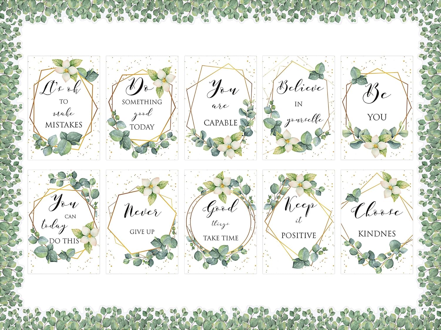 Amazon.com: 49ft Eucalyptus Border and 10 Eucalyptus Positive Sayings ...