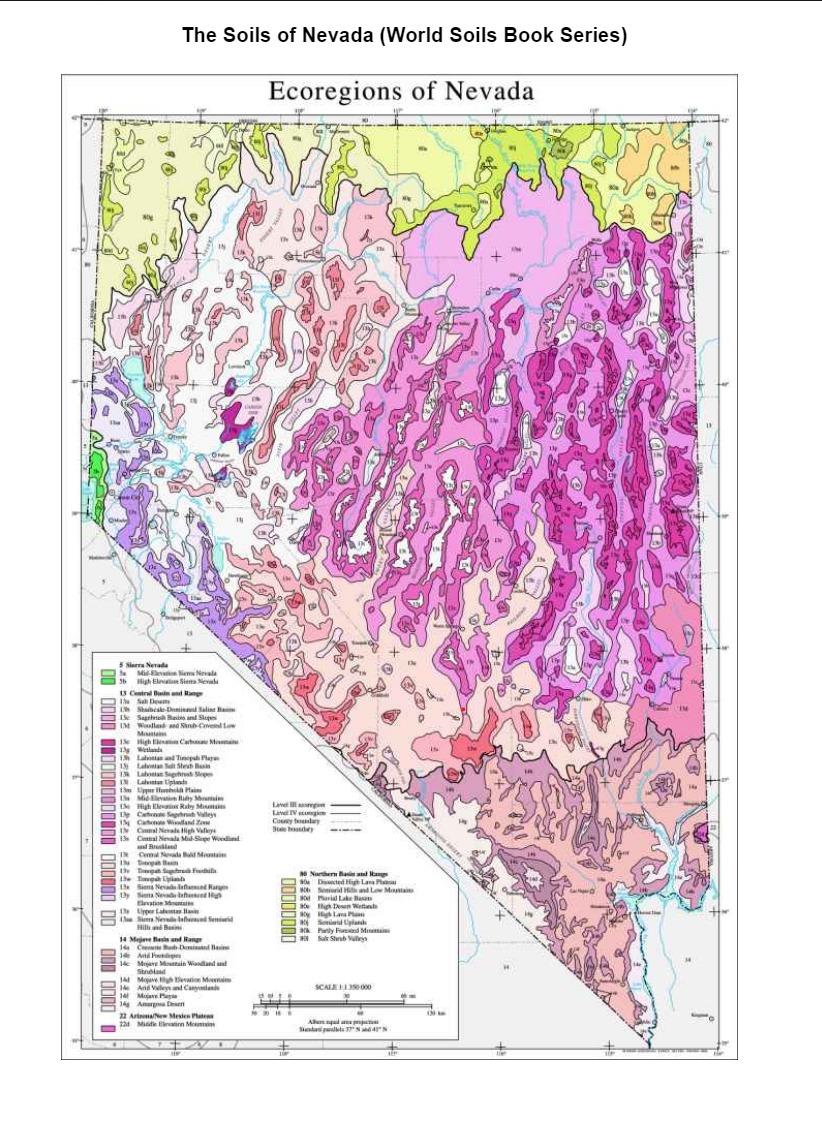 The Soils of Nevada (World Soils Book Series): Blackburn, Paul W ...