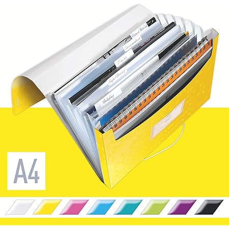 Leitz A4 Projektmappe für bis zu 200 Blatt, 6 Fächer mit Taben zur ...