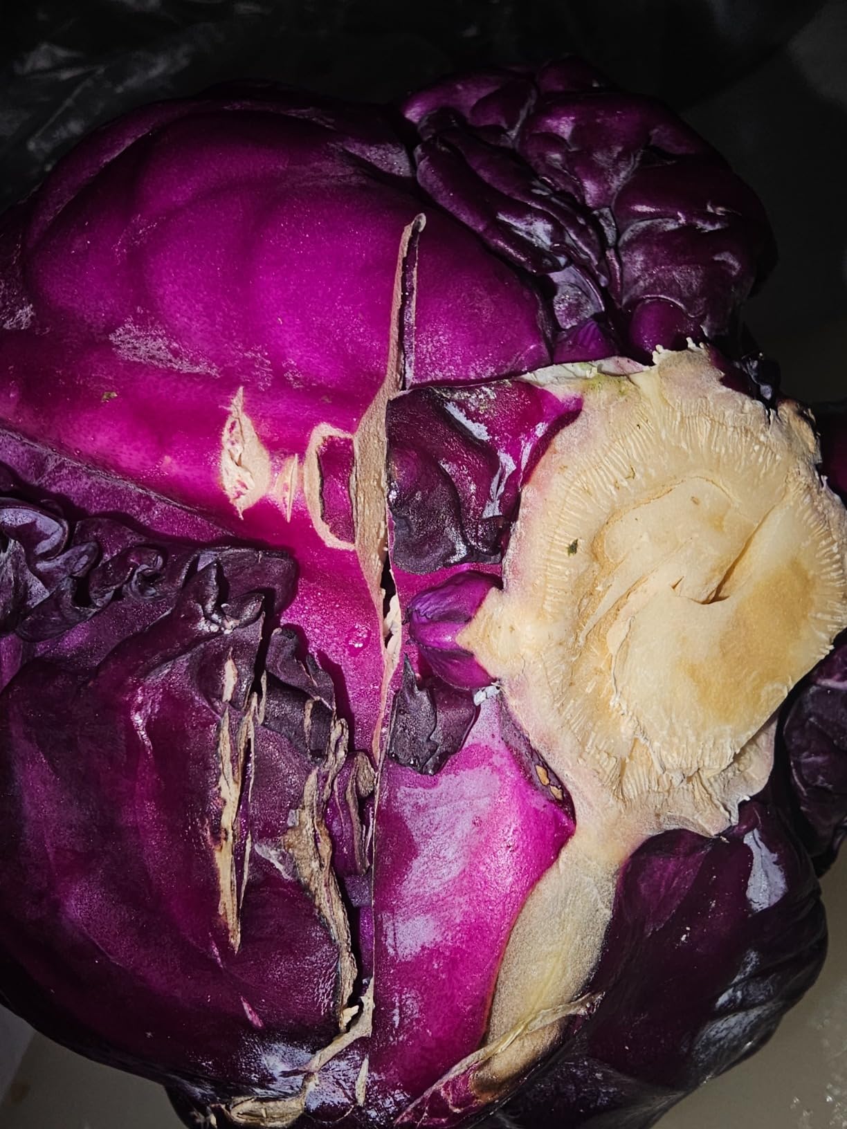 Amazon.com: Organic Red Cabbage : Grocery & Gourmet Food