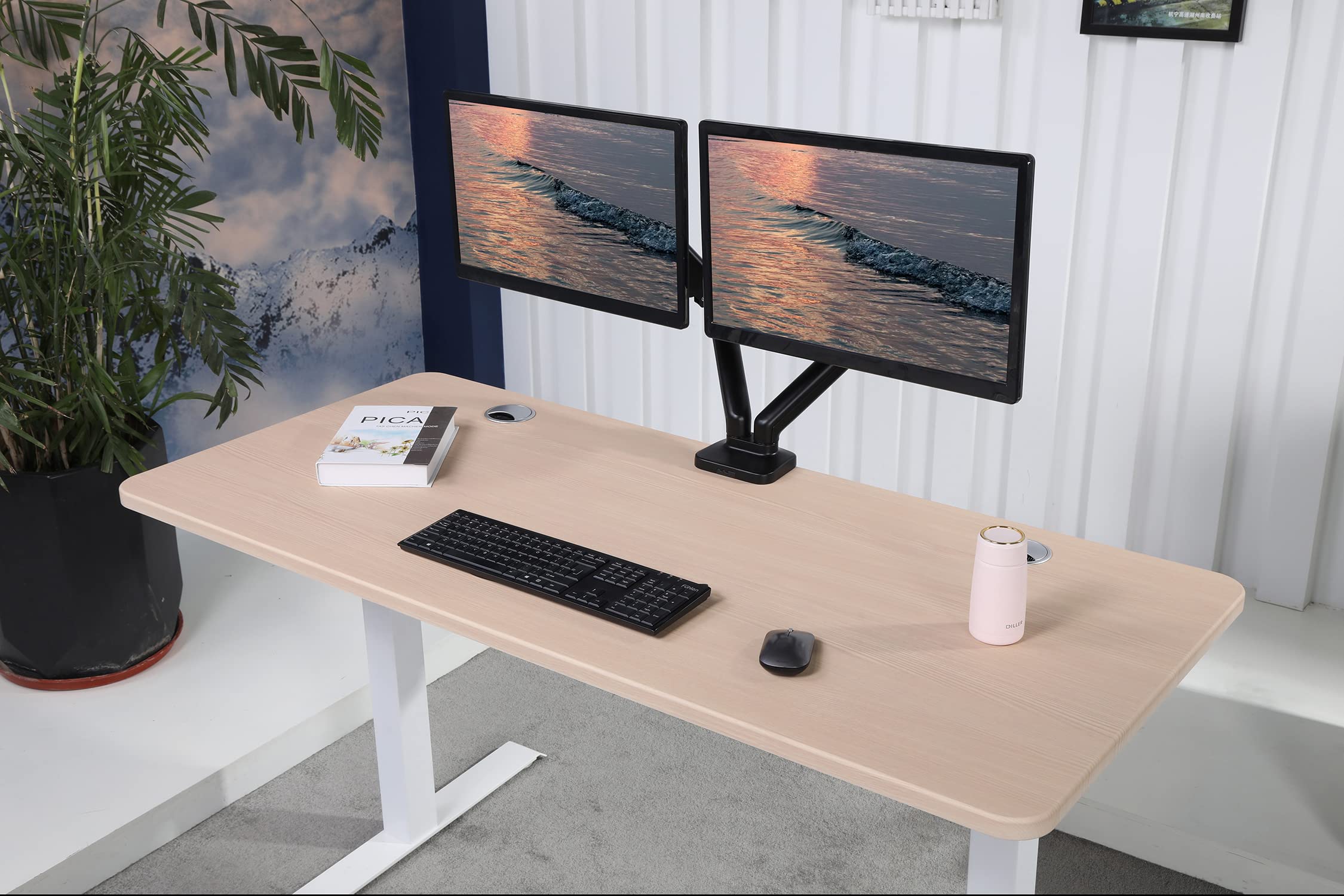 Amazon.com: ApexDesk K Series 60" x 27" Electric Height Adjustable ...