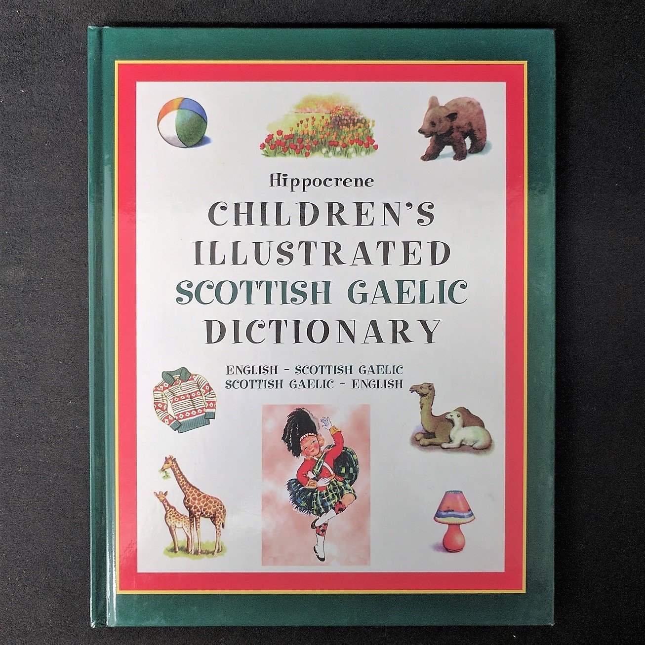 Hippocrene Children's Illustrated Scottish Gaelic Dictionary: English ...