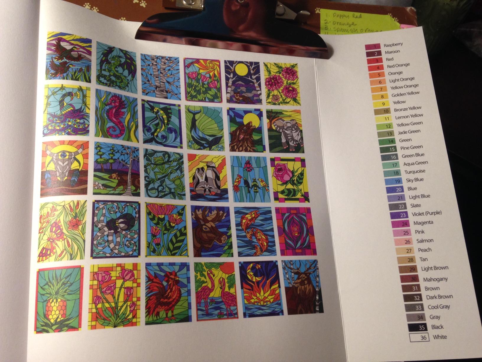 Amazon.com: Zendoodle Color-by-Number: Stained Glass: Dazzling Art to ...