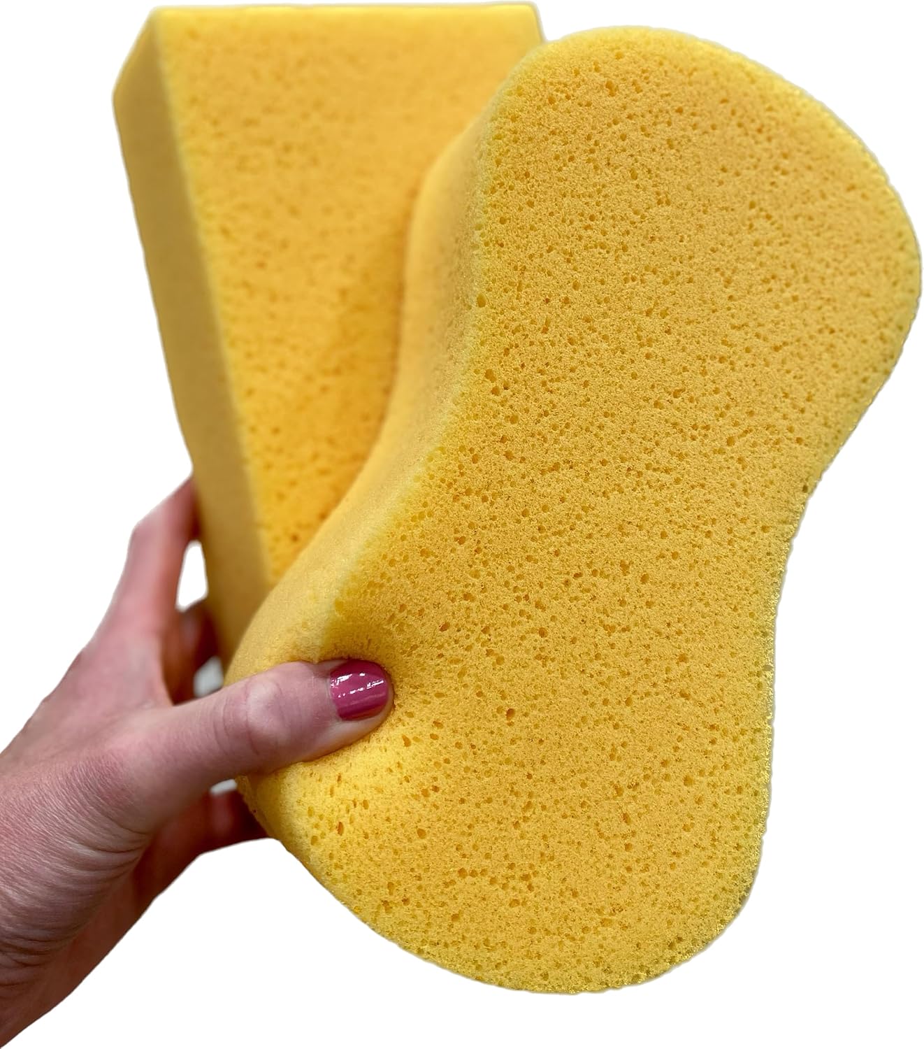 Amazon.com: Large Sponges for Cleaning - 2 Pack - Multi-Purpose ...
