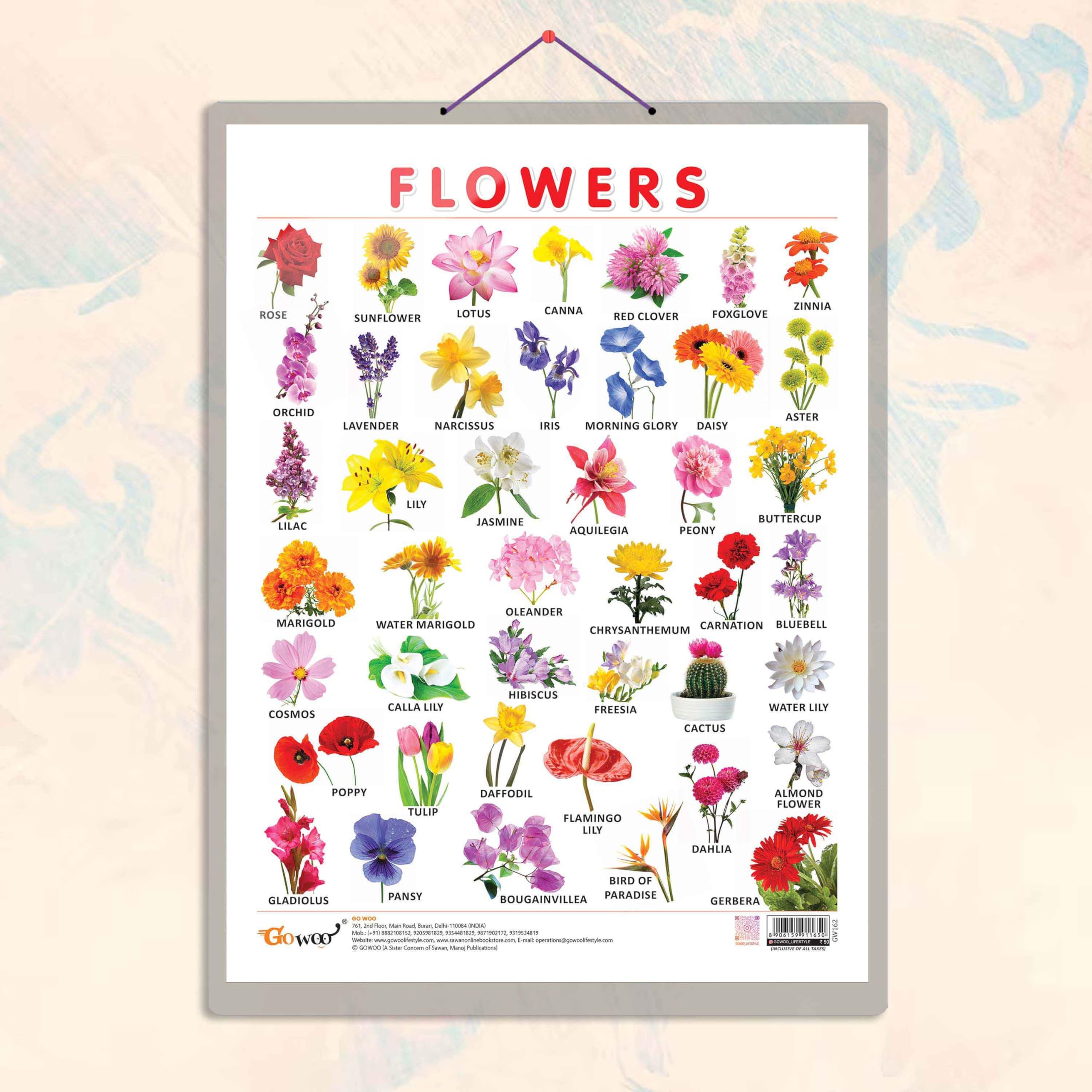 Buy FLOWERS CHART HARD LAMINATED | Blossom Brilliance: Hard Laminated ...