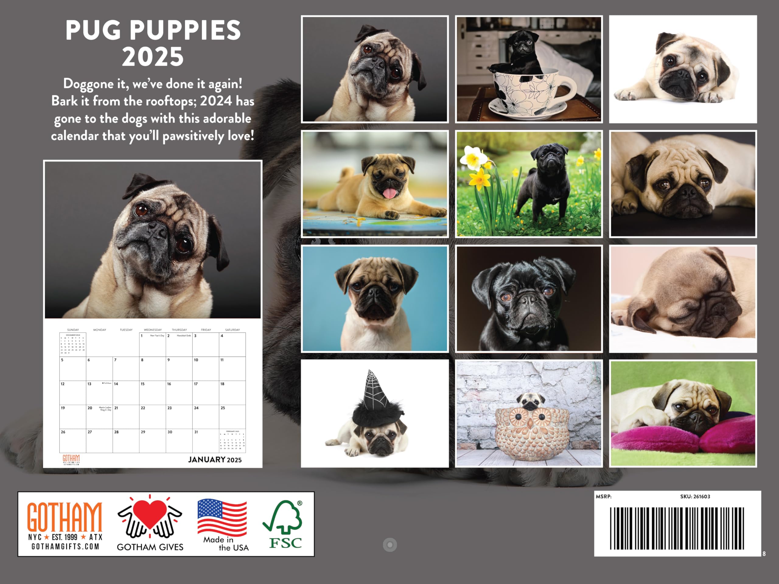 Snapklik.com : Pug Puppies Calendar 2025 Pug Puppy Monthly Wall ...