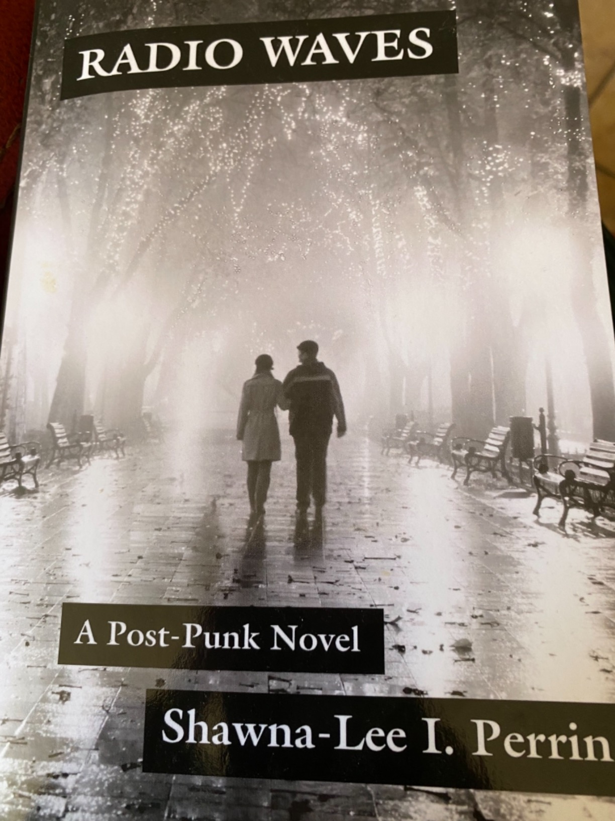 Radio Waves: A Post-Punk Novel: Shawna-Lee I. Perrin: 9781647192518 ...