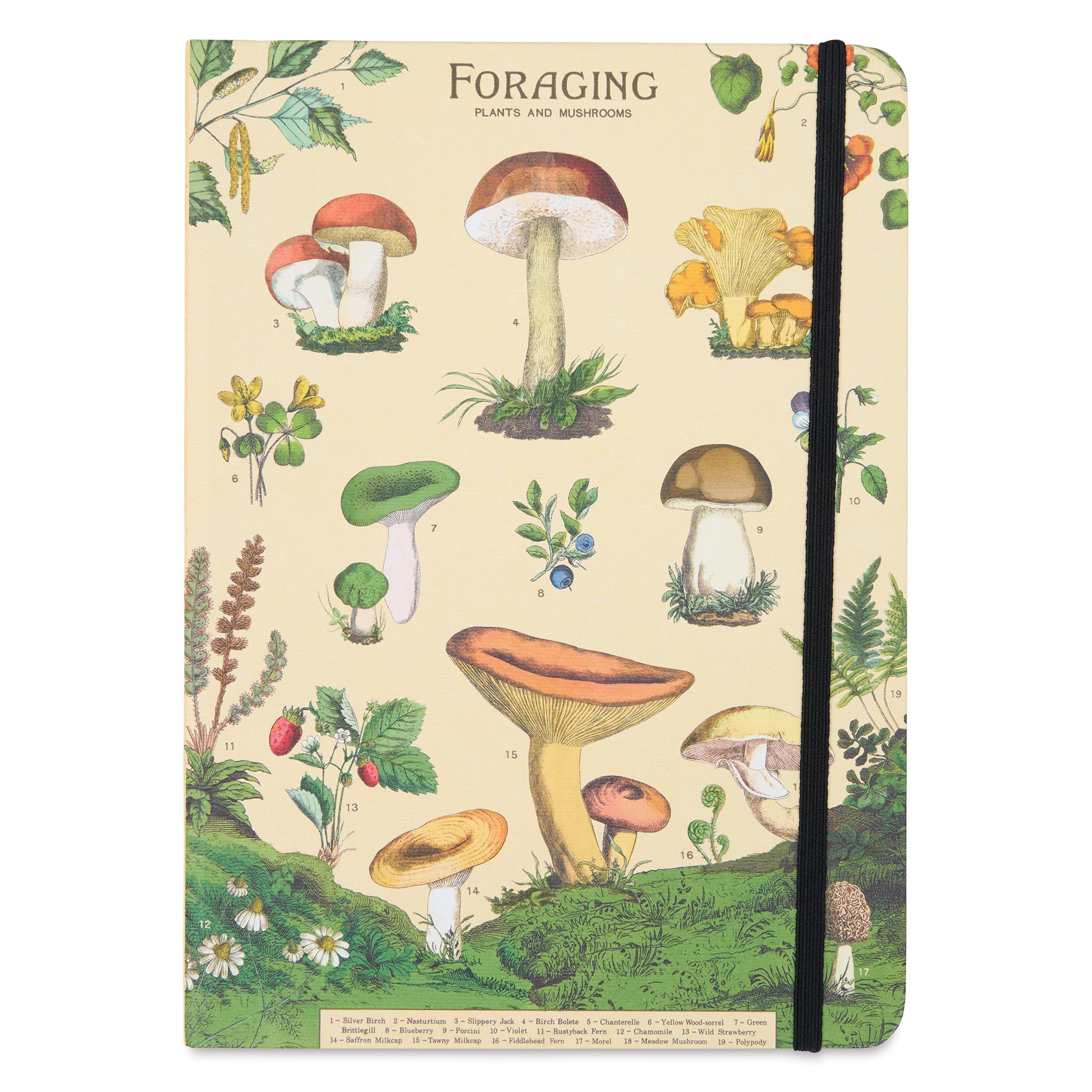 Cavallini Papers & Co. Notebook Forage 144 Pages Featuring Classic ...