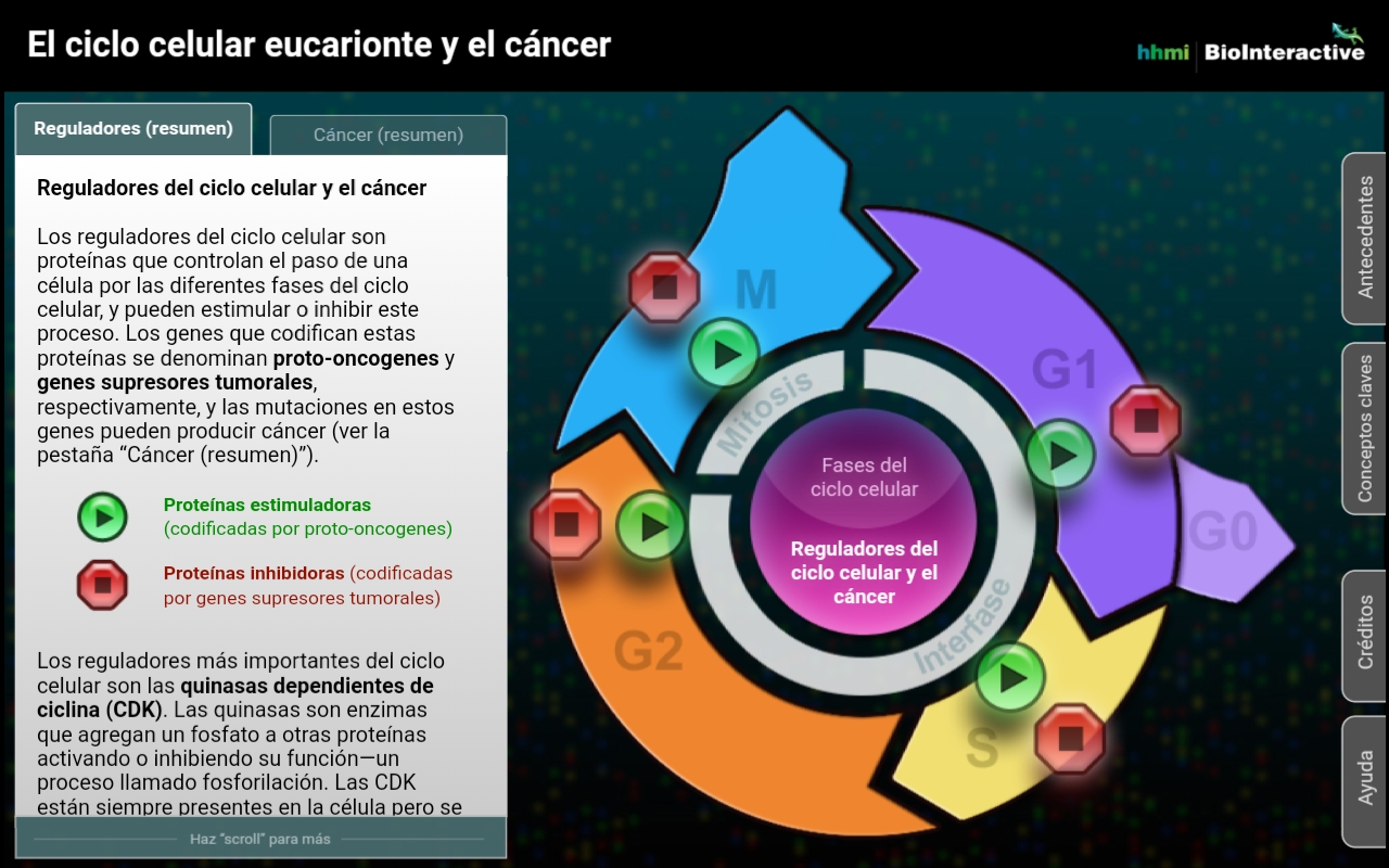 The Eukaryotic Cell Cycle and Cancer (Spanish) - App on Amazon Appstore