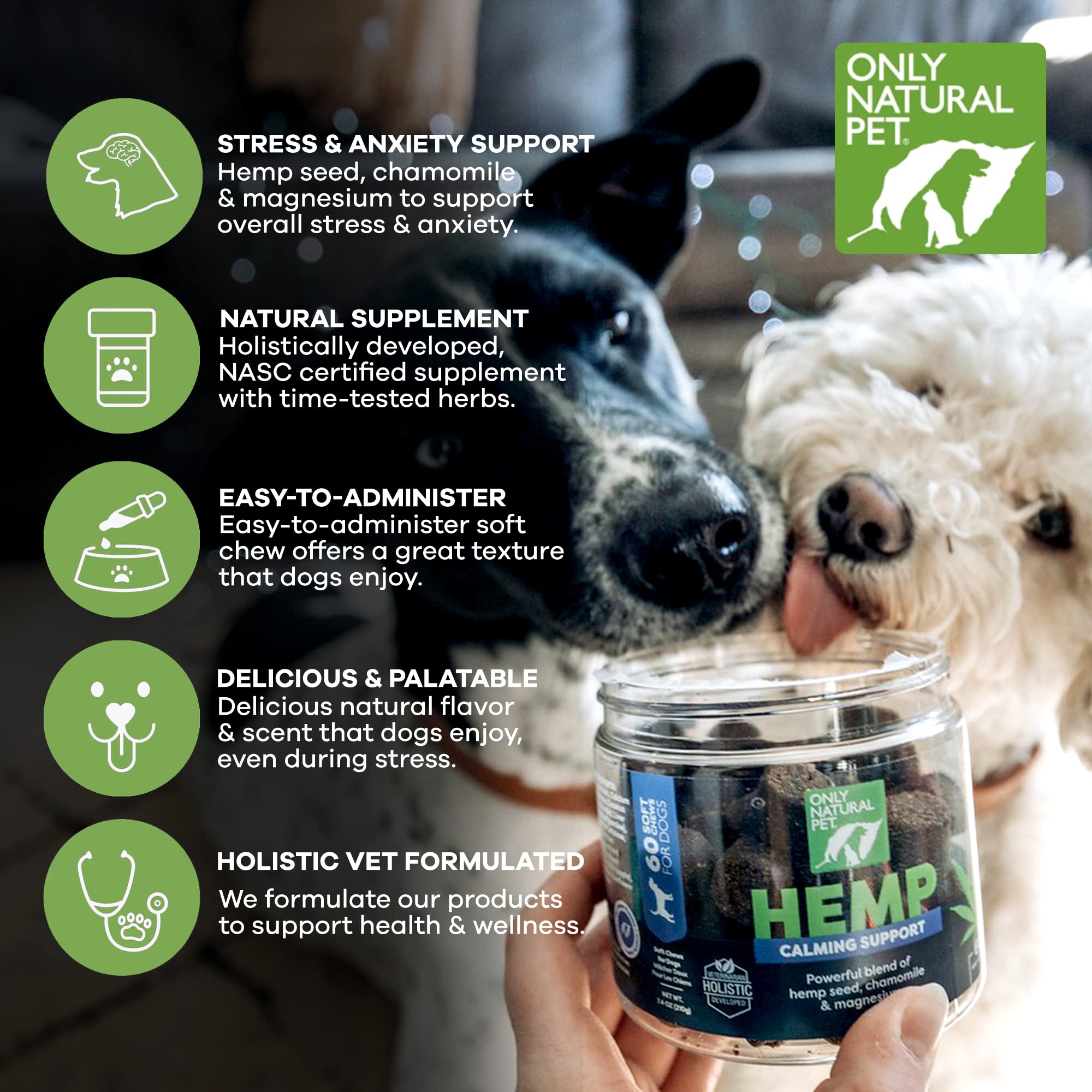 Is Lemon Flavor Ok For Dogs