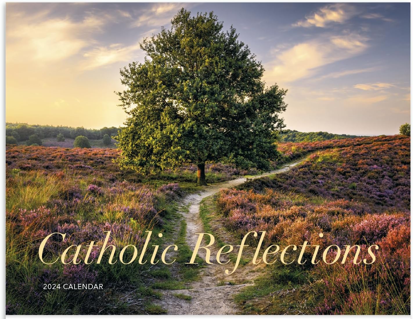 Amazon.com: Catholic Reflections 2024 Hanging Wall Calendar - 19" x 11 ...