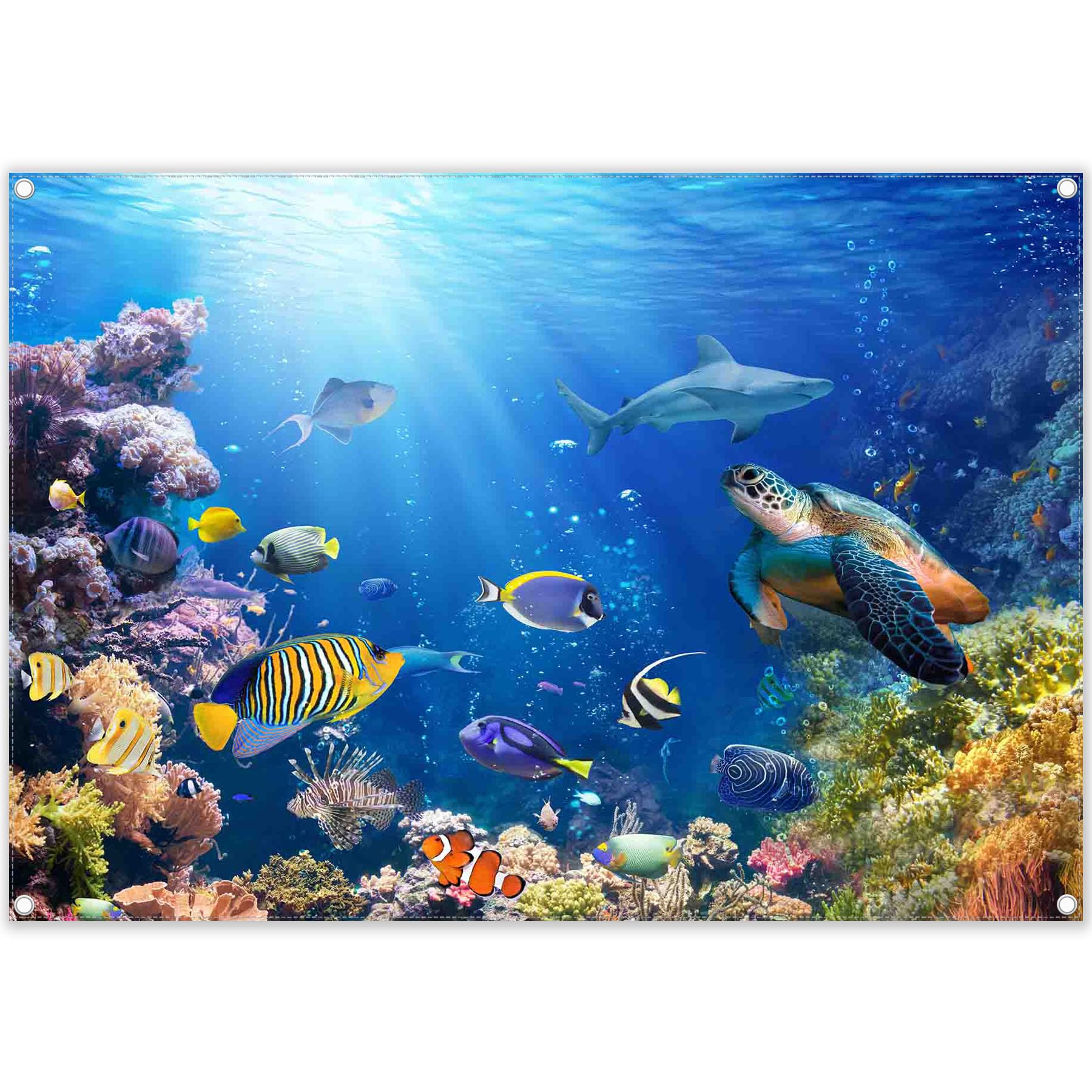 Undersea Backdrop Sunset Light Underwater, Slow Motion Stock Footage