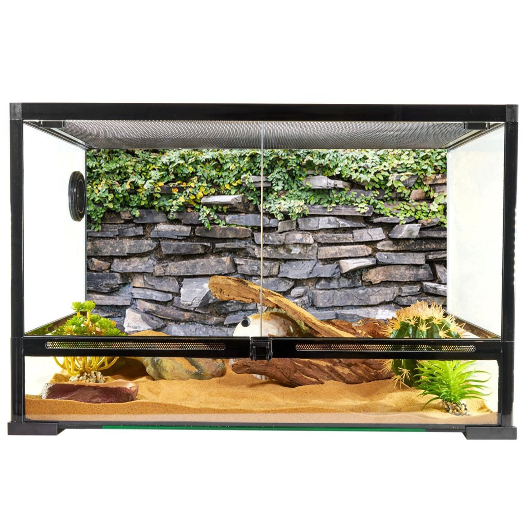 Snapklik.com : Reptile Terrarium Background 24x16 Inch Reptile Tank ...