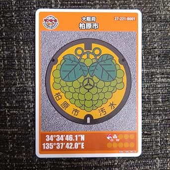 Amazon.co.jp: Manhole Card: Kashiwara City B: Lot No. 001 : Toys & Games
