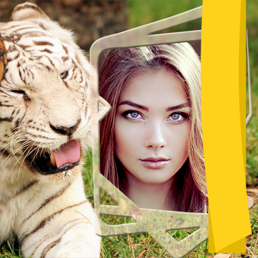 Tiger Photo Frames - App on Amazon Appstore