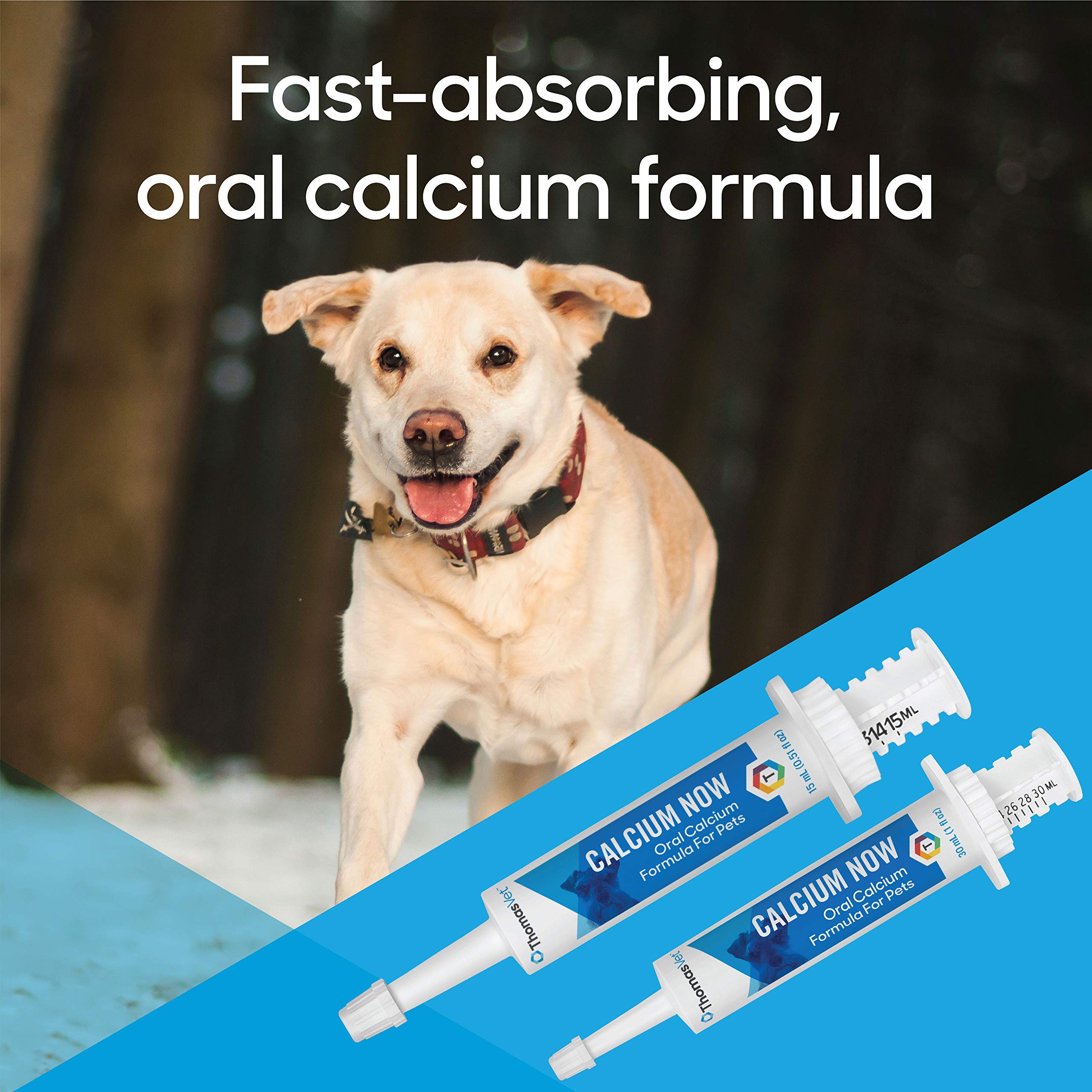 Can I Give Calcium To My Dog