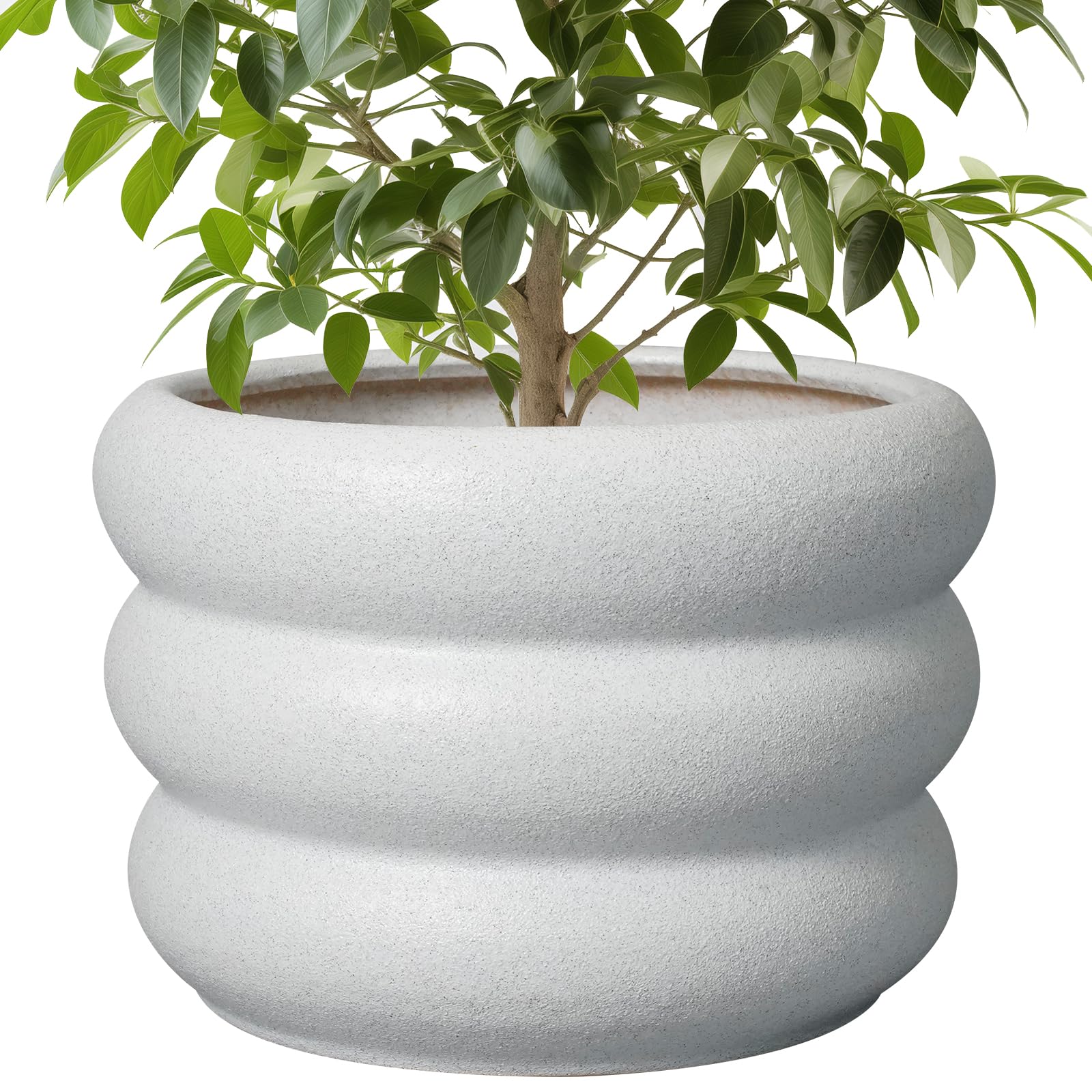 Amazon.com : SQOWL Ceramic Planter Pot - 10 Inch Plant Pot with ...
