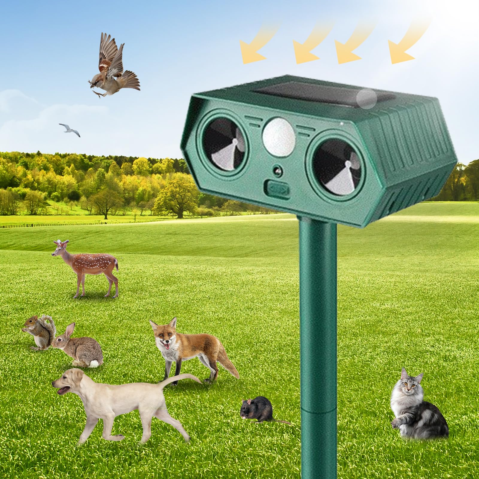 Amazon.com: Upgraded Animal Repellent,Solar Ultrasonic Squirrels ...