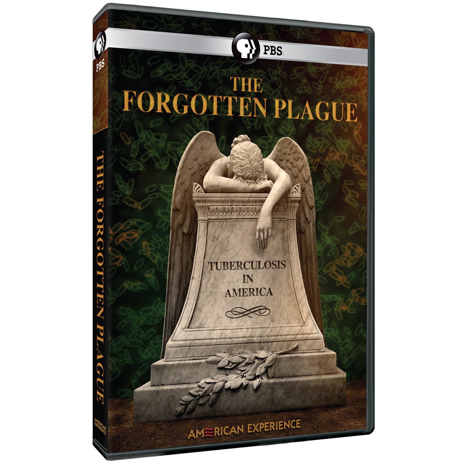 Amazon.com: American Experience: The Forgotten Plague : ., Chana Gazit ...