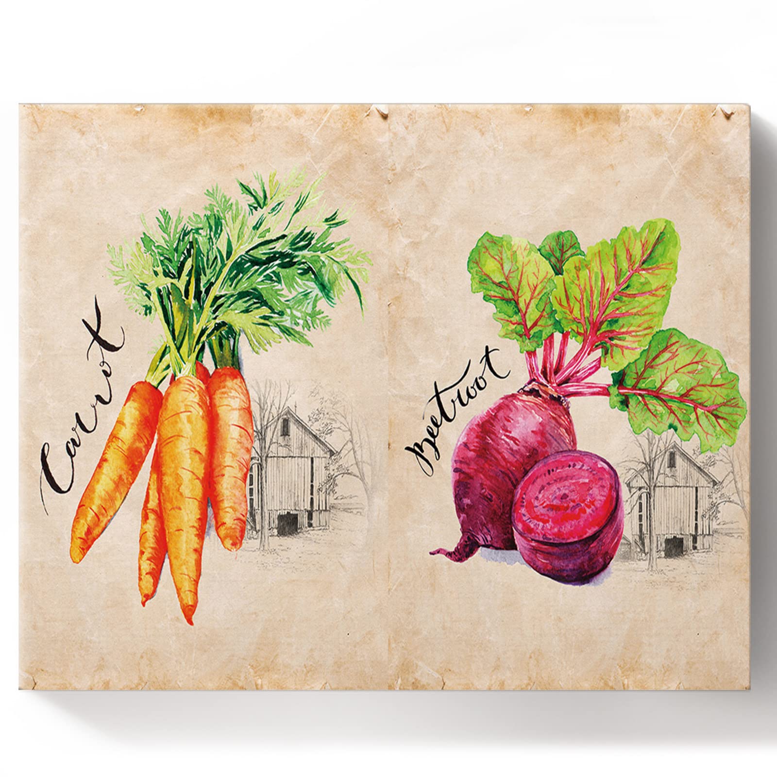 Remolacha Para Colorear