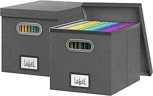 Amazon.com: GRSQYS File Storage Box with Lid File Boxes for Hanging ...