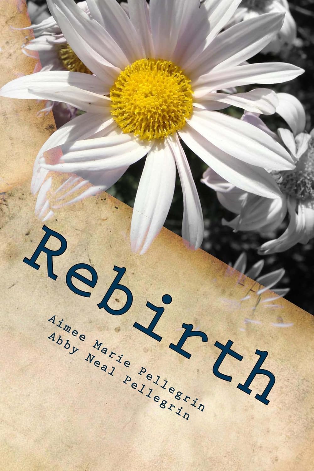 Rebirth: Life Reborn (after destruction by bullies) Through Christ ...