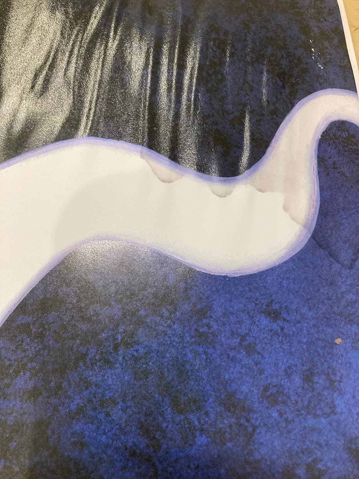 Amazon | Skeleton Hiccups | Cuyler, Margery, Schindler, S.D. | Activity ...