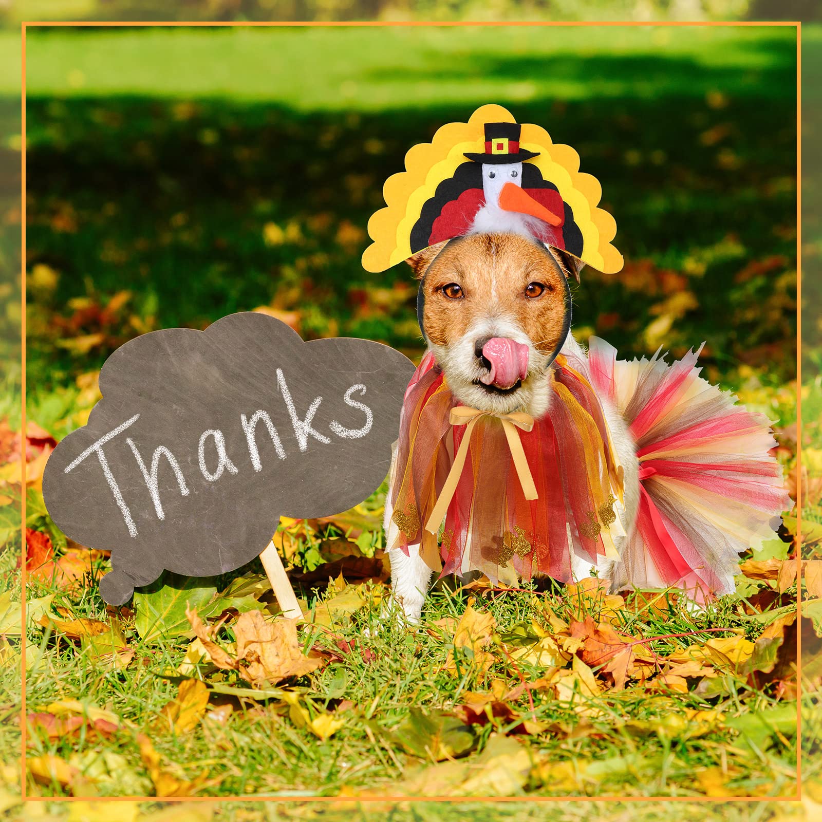 Thanksgiving Puppy Wallpaper
