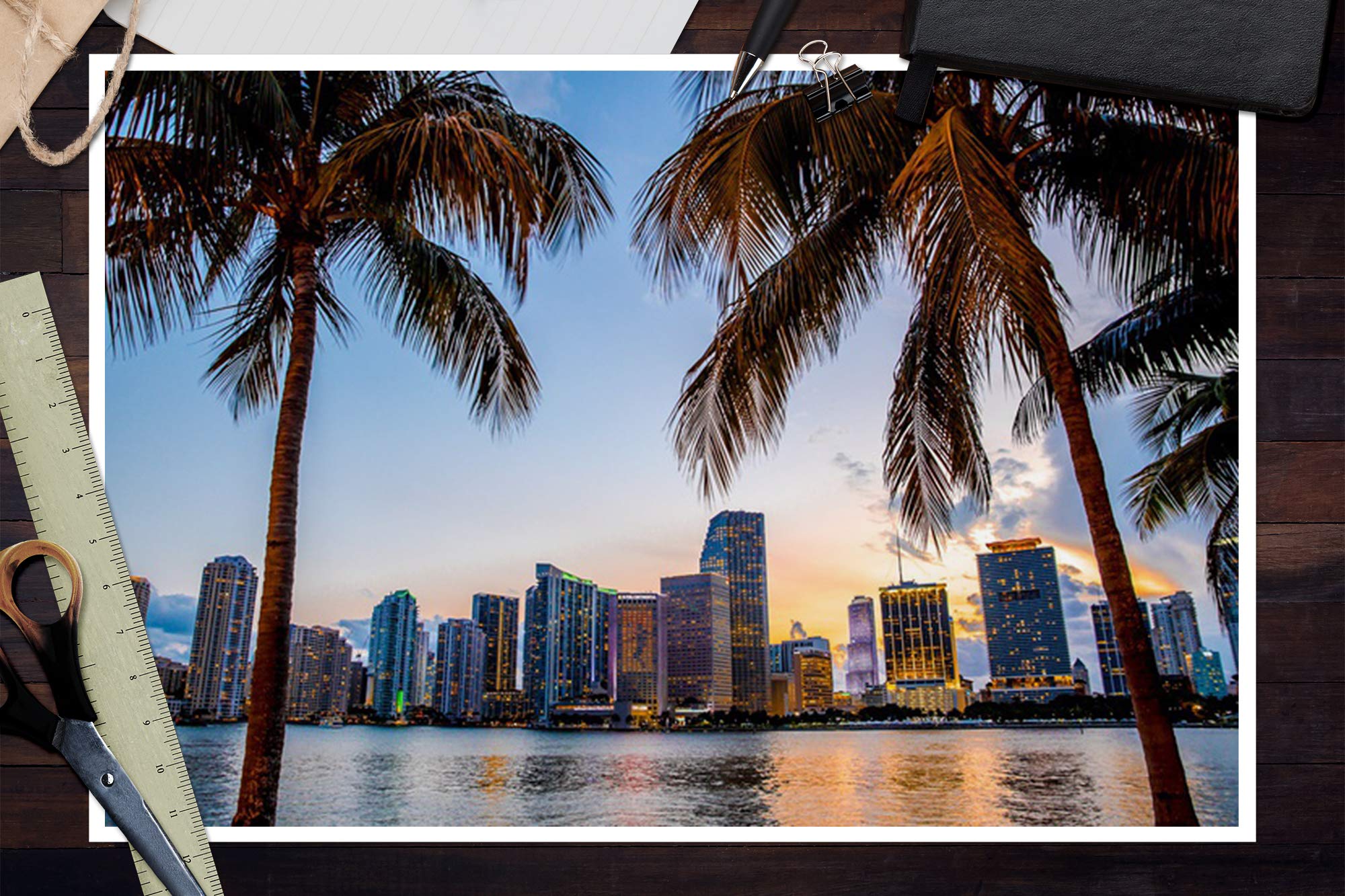 Miami Skyline Palm Trees