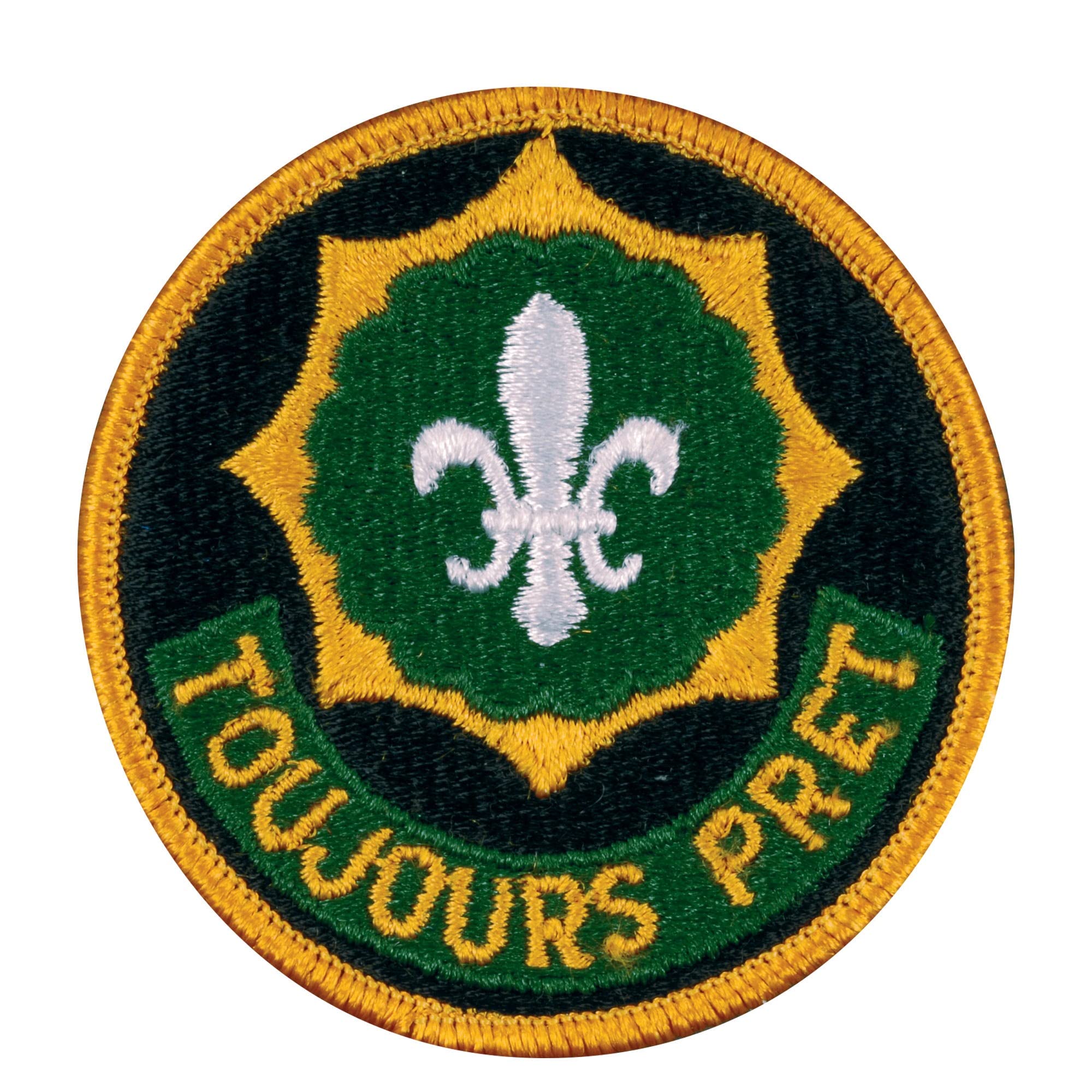 Amazon.com: Army 2nd Armored Cavalry Regiment Patch Color AGSU ...