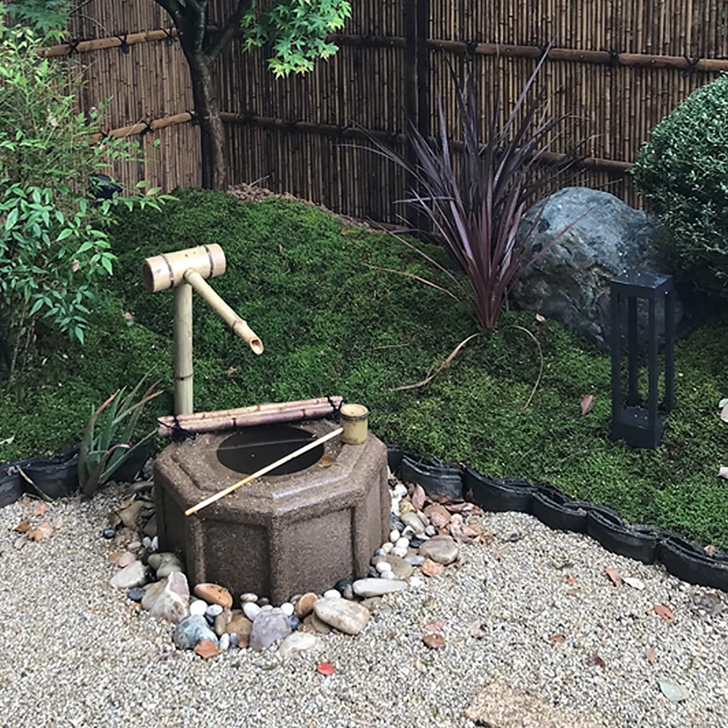 Bamboo Water Garden Ideas South Pacific Landscaping Landscaping