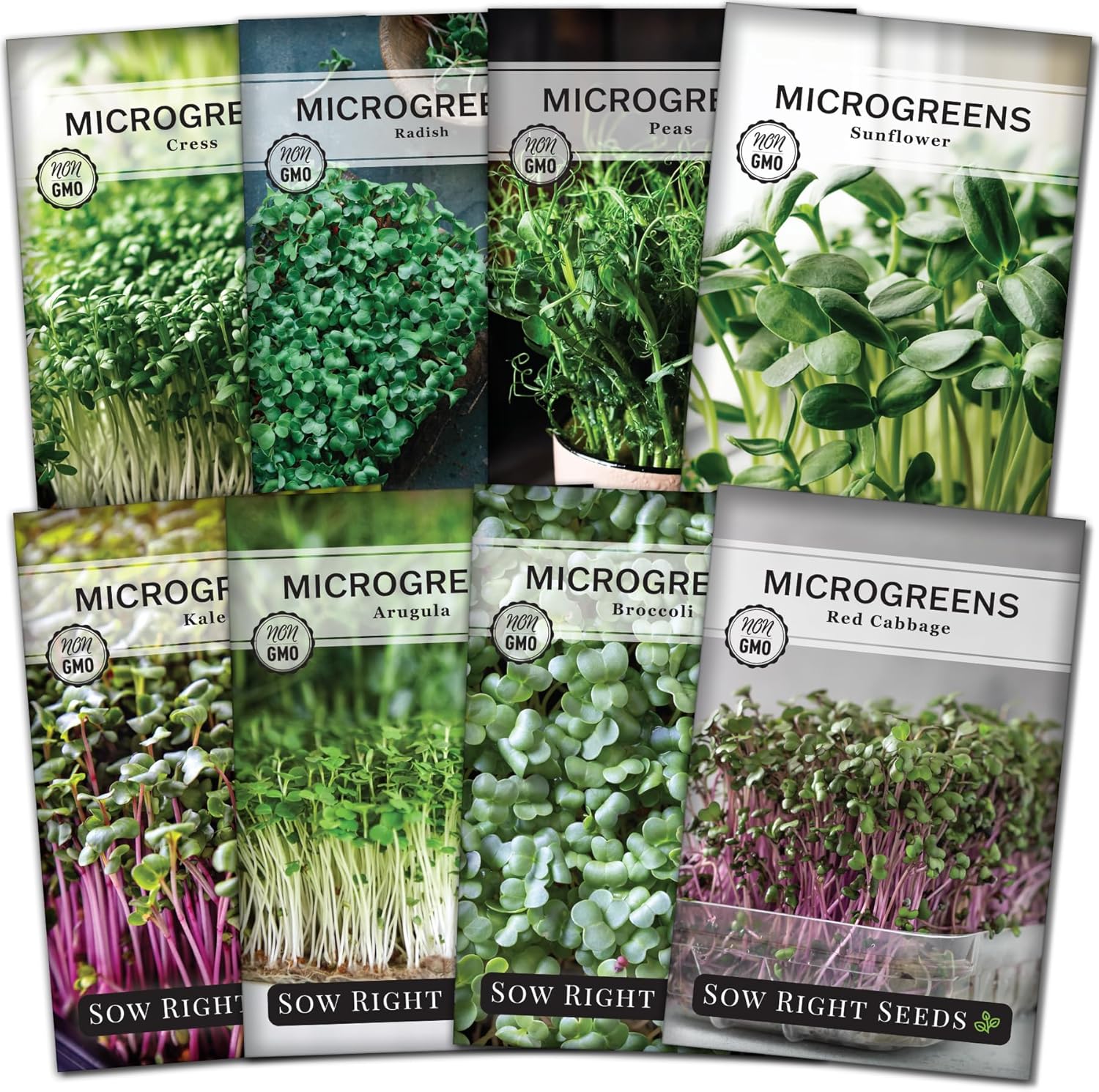 Amazon.com : Sow Right Seeds - Microgreens Seed Sample Pack - 8 Packets ...