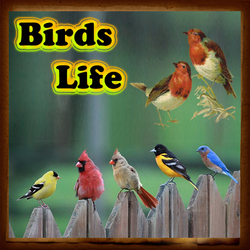 Birds Life - App on Amazon Appstore