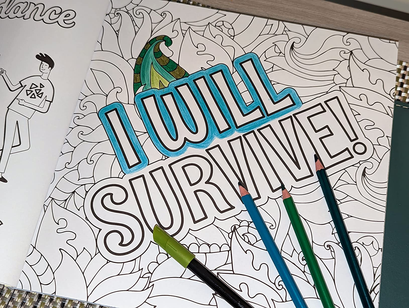 Bic Intensity Colouring Set, 24 Colouring Felt Tip Pens, 24 Coloured ...