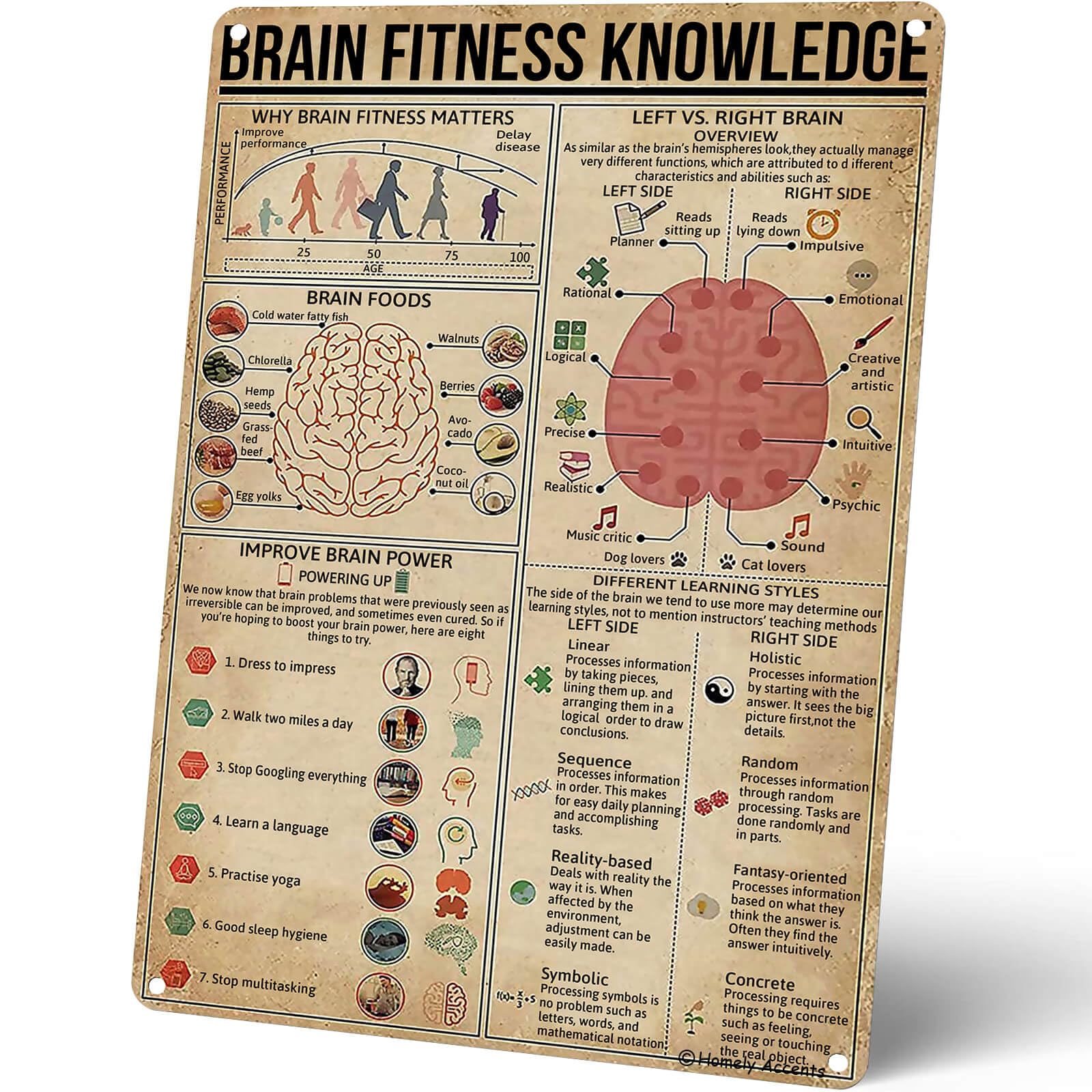 Amazon.com: Homely Accents Brain Fitness Knowledge Poster, Educational ...
