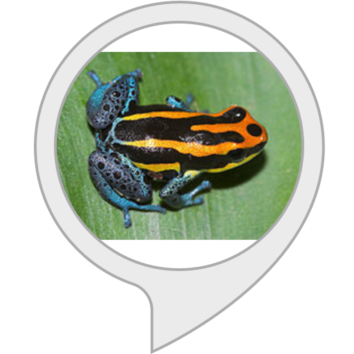 Amazon.in: Poison Dart Frog : Alexa Skills