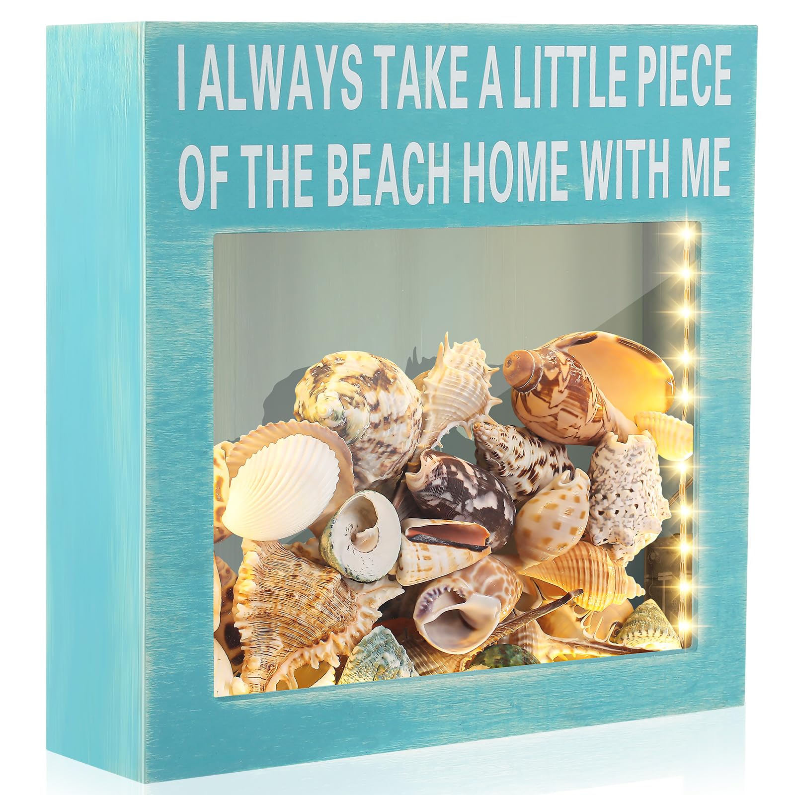 Amazon.com: Juexica Seashell Holder with Light Seashell Display Box ...