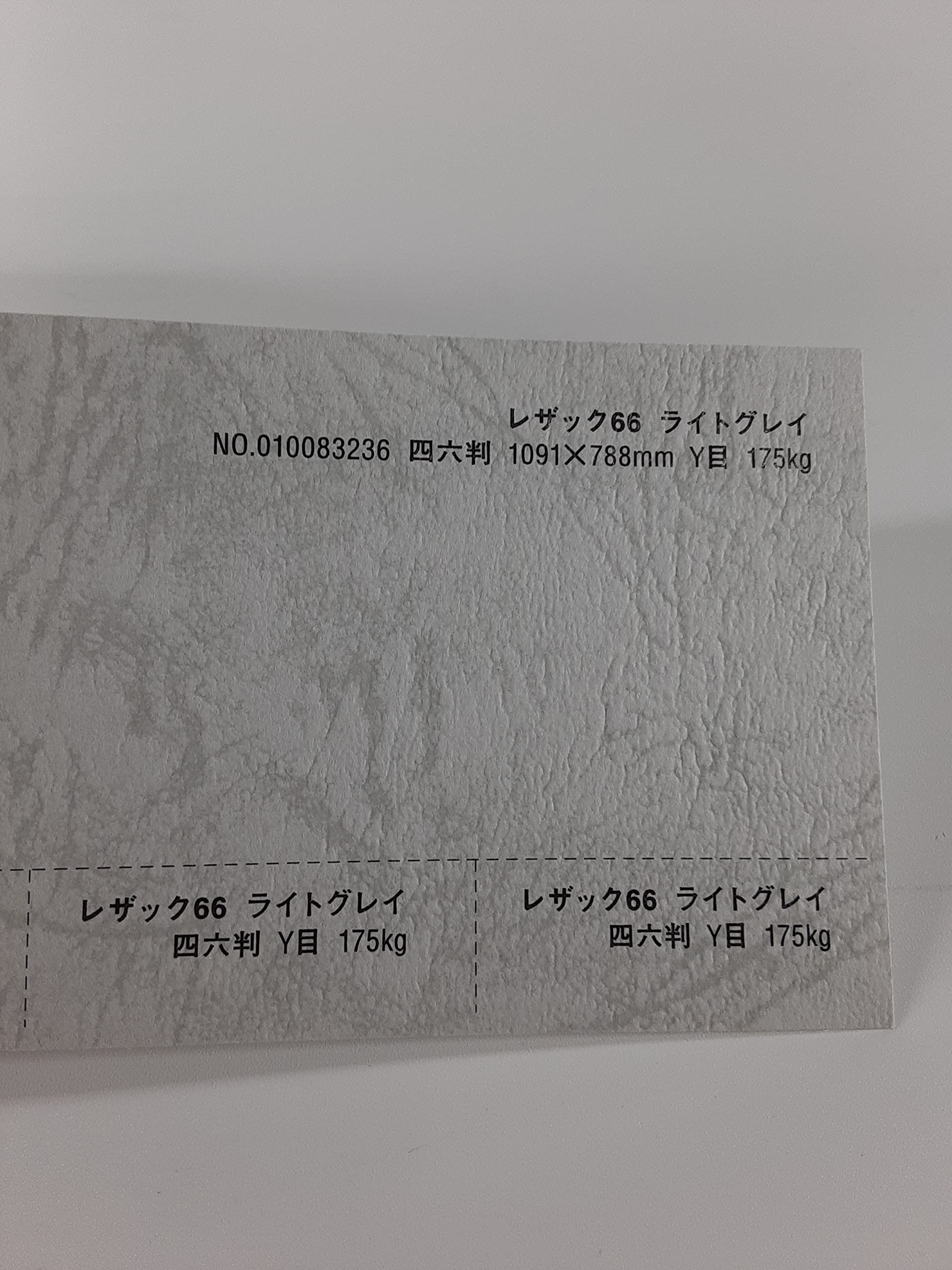 Amazon.co.jp: レザック66 紙 175kg A4サイズ 33枚入り 選べる50色 厚さ0.21㎜ 297㎜×210㎜ ファンシーペーパー オリオン レザック紙 (ライトグレー ...