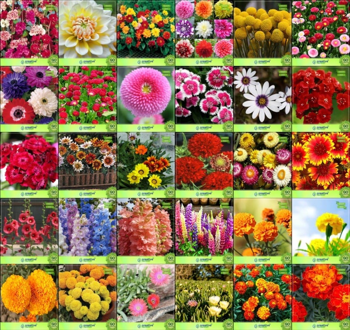 Creative Farmer Flower Seeds : Plant Seeds For Home Garden Flowers ...