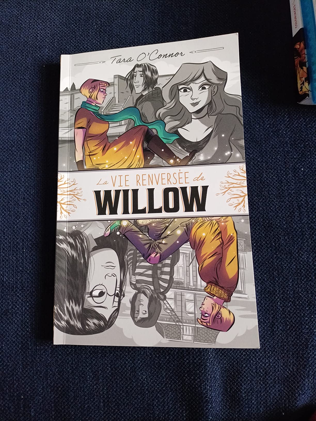 La vie renversée de Willow : O'Connor, Tara, Delarbre, Alice: Amazon.fr ...