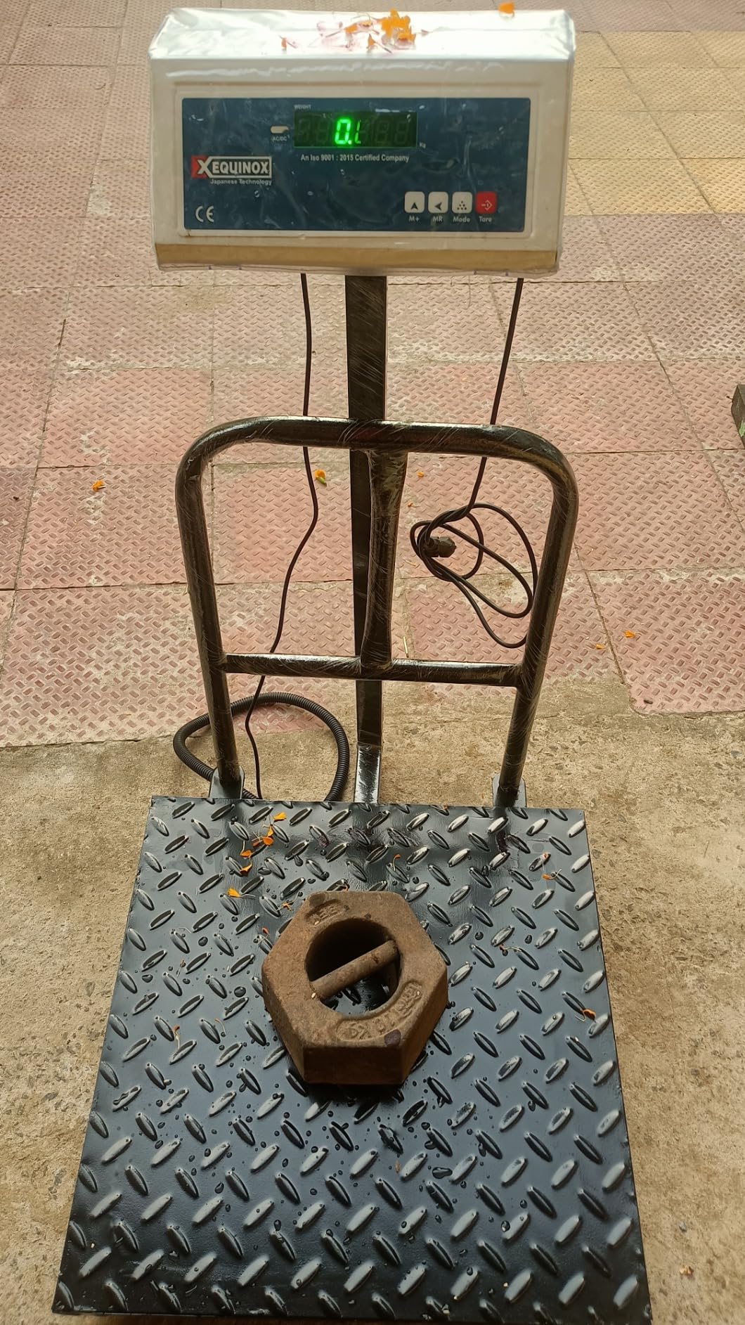 EQUINOX Electronic Platform Weighing Scale 250kg Capacity 20g Accuracy ...