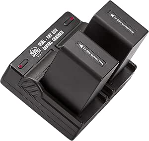 Amazon.com : BM Premium 2 NP-FV100A High Capacity Batteries and Dual Bay Charger for Sony FDR ...