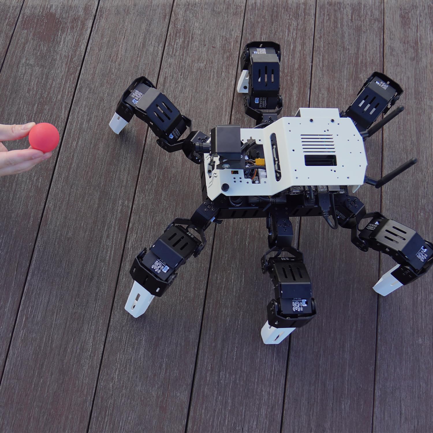 Electronikz Yahboom Hexapod Robot Muto S2 And G1 Raspberry Pi Tank