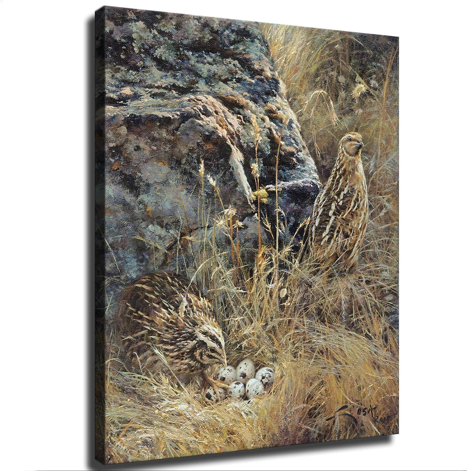 Amazon.com: Birds Quail Family Quail Eggs Poster Print Picture Modern ...